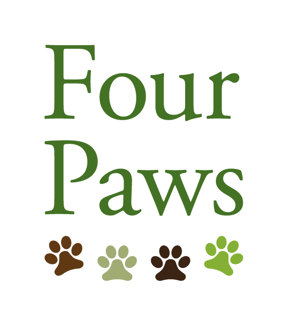 Four Paws – dog grooming salon in Toronto