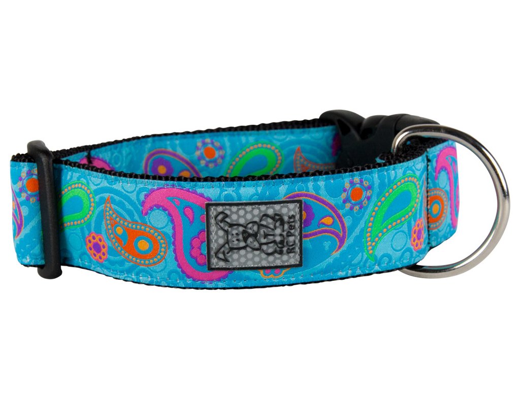 Collars – Four Paws